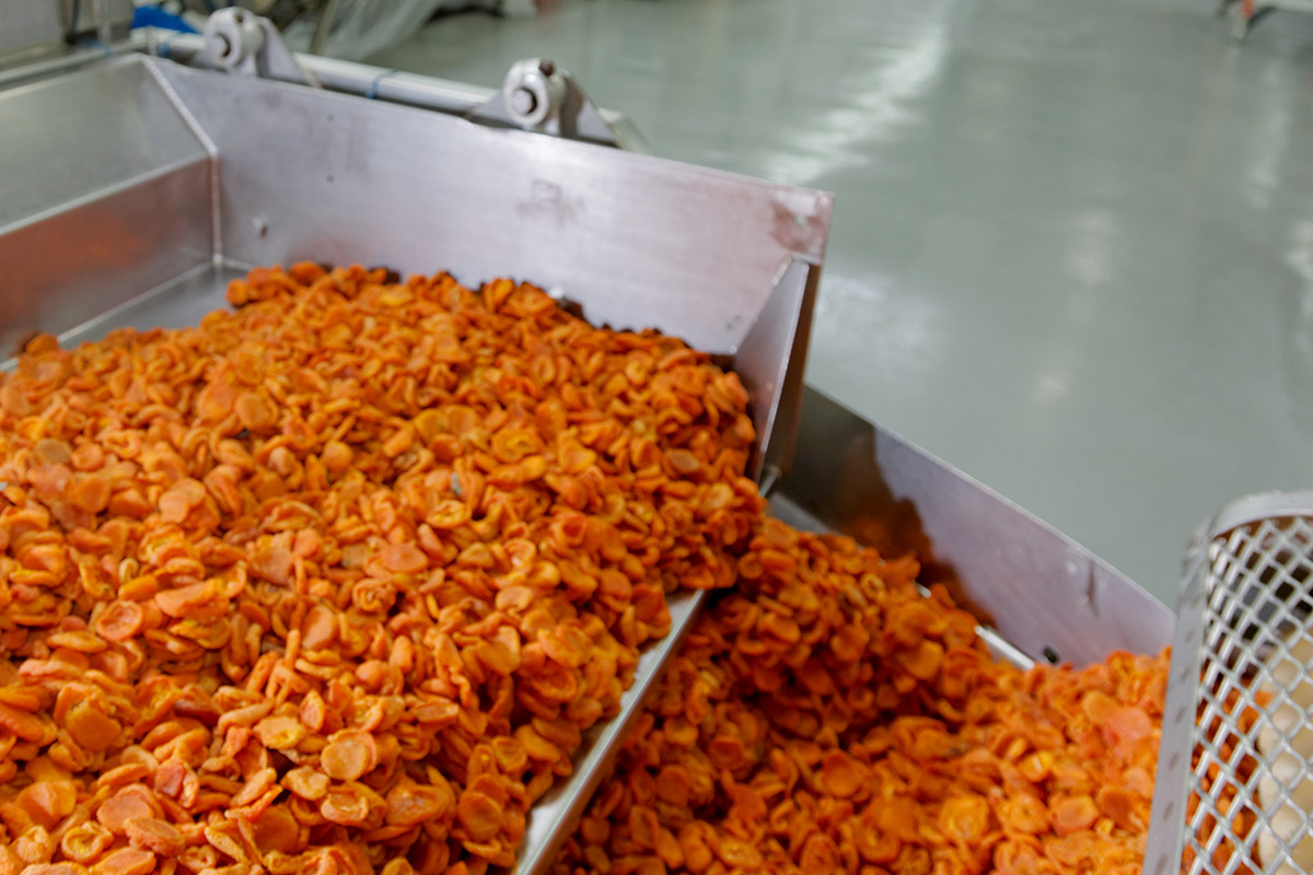 Traina Home - Traina® Dried Fruit