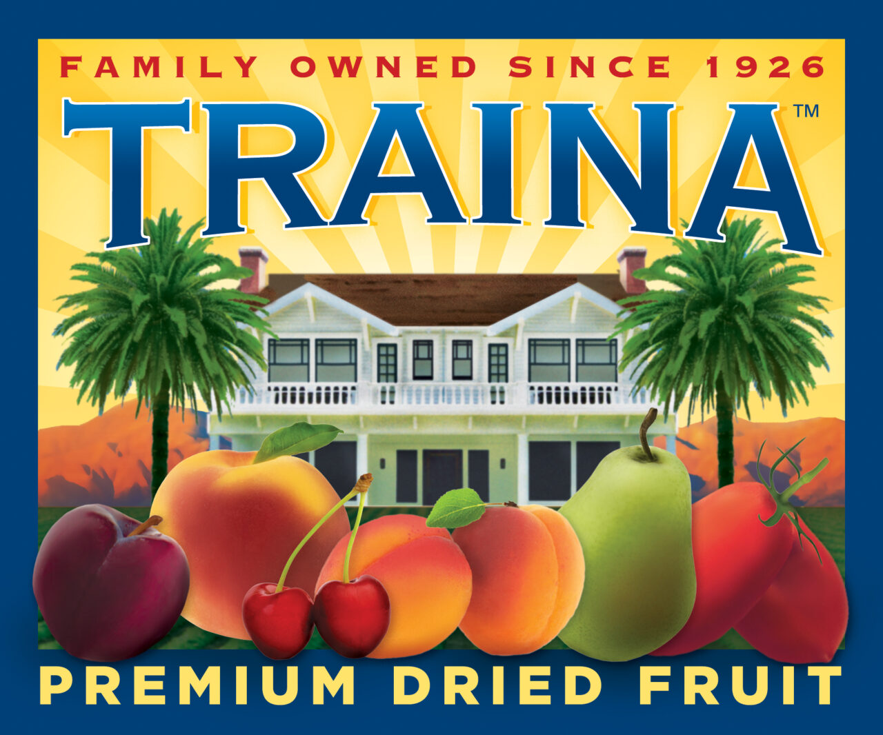 Industrial Dried Fruit Supplier | Traina Dried Fruit